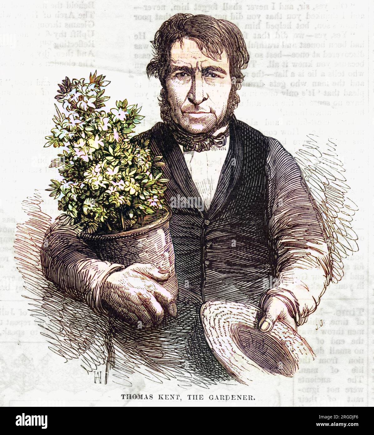 Thomas Kent, gardener from the west of England, who underwent a ...