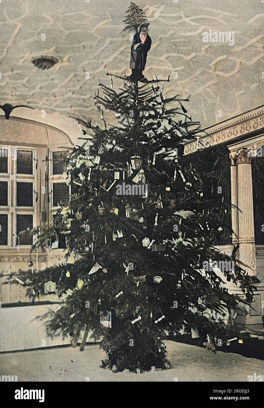 The impressive Christmas tree at the royal residence of Sandringham ...