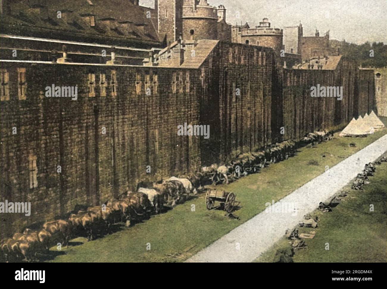 Territorial Army horses lined up in the moat of the Tower of London ...