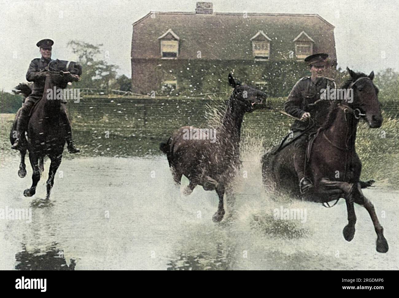 Breaking a horse in hi-res stock photography and images - Alamy