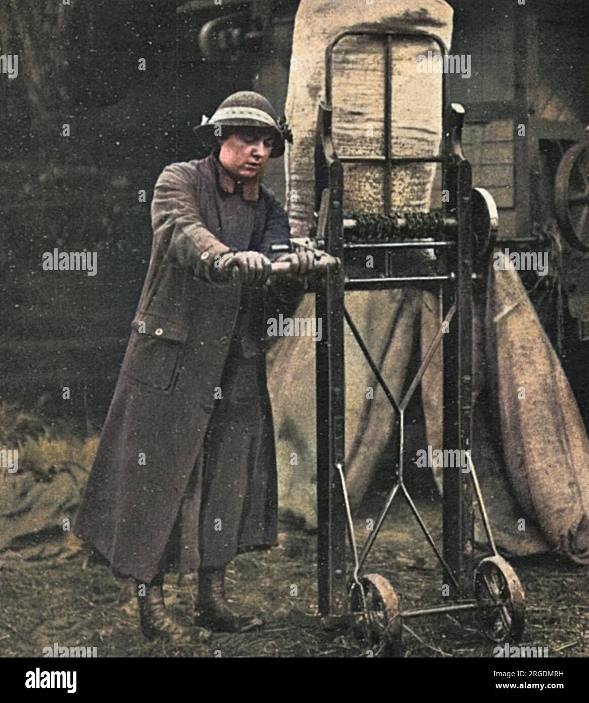 A lady worker raising a sack of wheat to be carried to a wagon during ...
