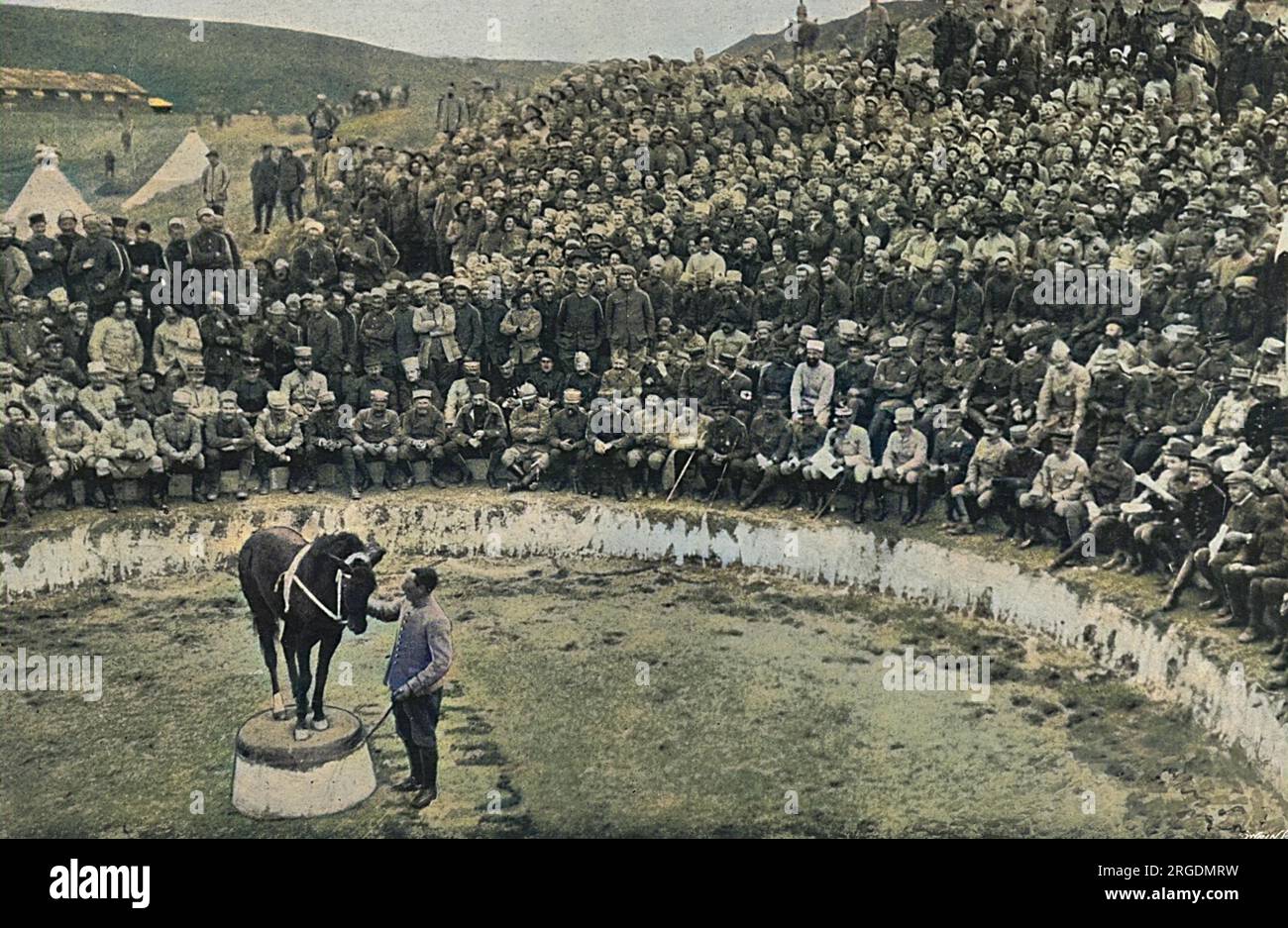 An open-air circus in a specially dug-out arena inaugurated for the ...