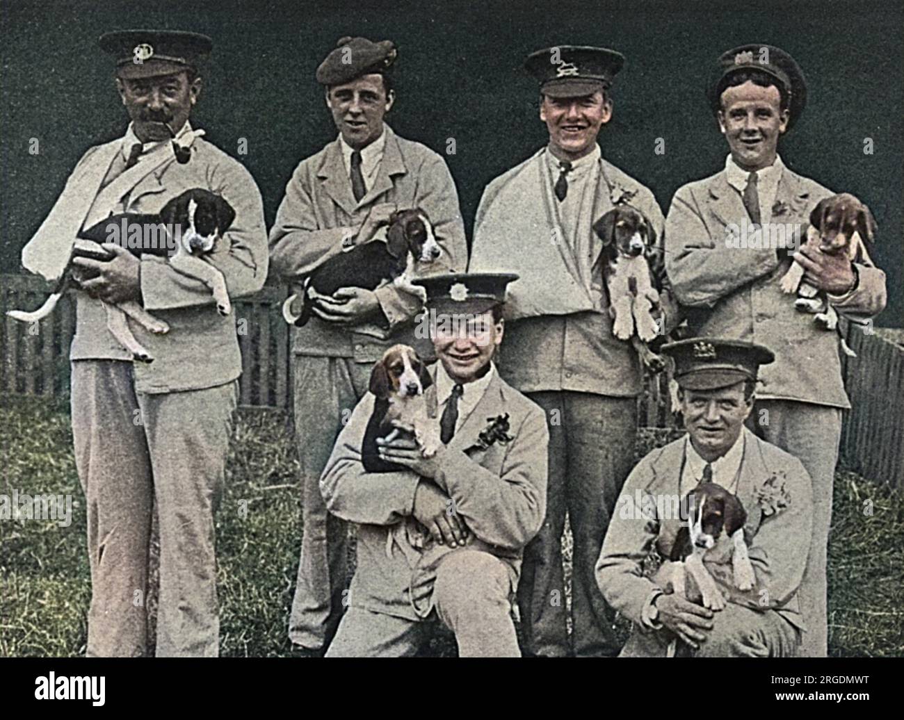 A scene from the Cheshire Hunt Puppy Show organised by Colonel Hall ...