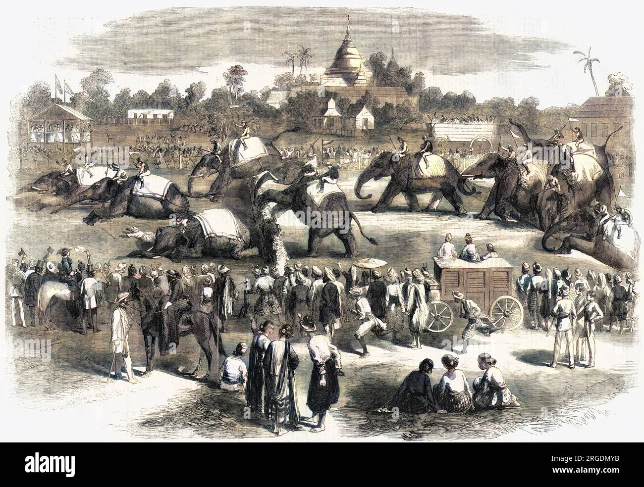 An elephant steeplechase which took place at Rangoon, on the eastern ...