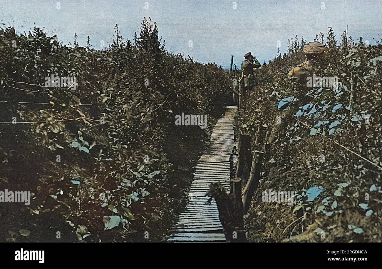 A communication trench within 1000 yards of the firing line, covered ...