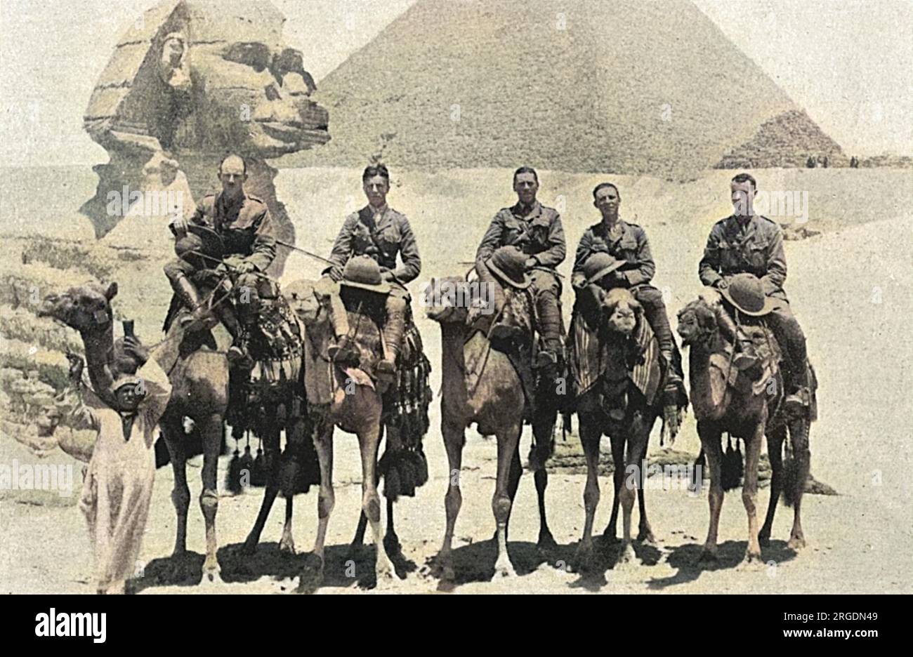Officers of the Camelry Unit pictured posed on their mounts, in front ...