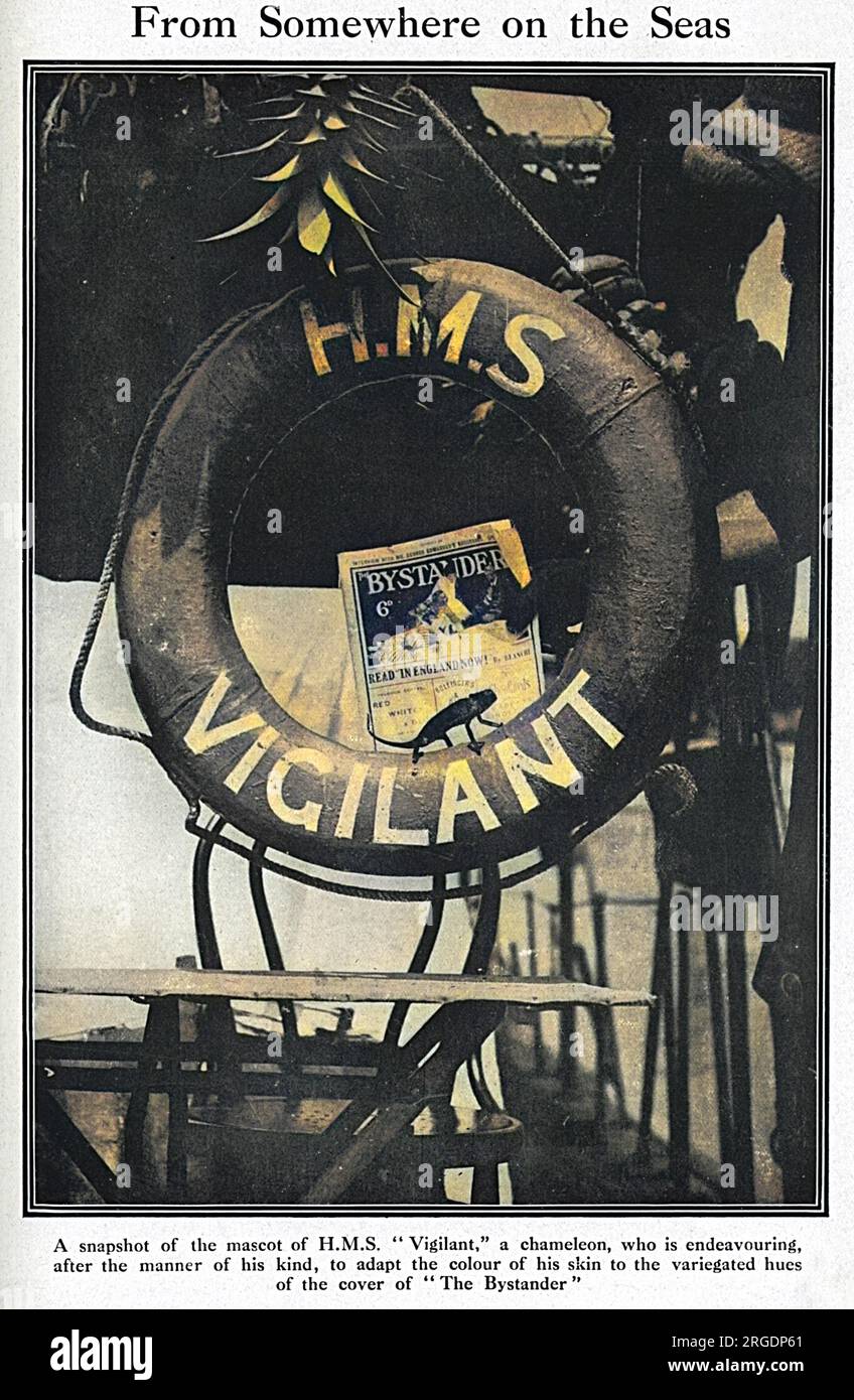 Magazines mascot hi-res stock photography and images - Alamy