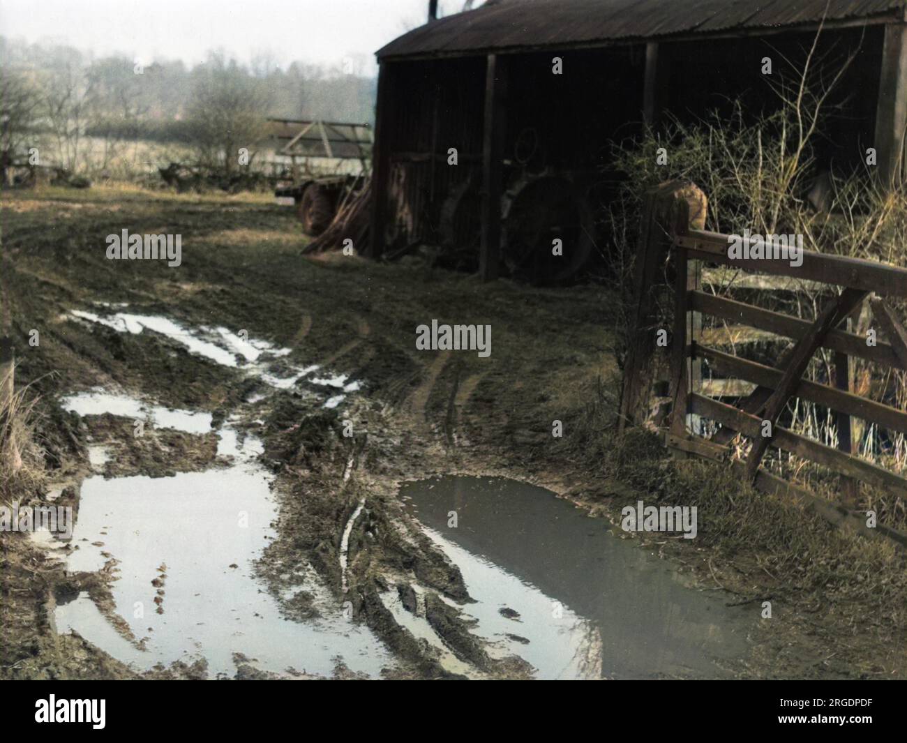 Winter on the farm, with a waterlogged, muddy farm track down to the ...