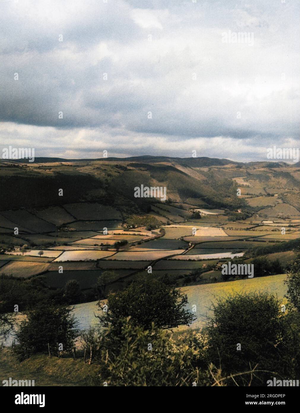 Rheidol valley hi-res stock photography and images - Alamy