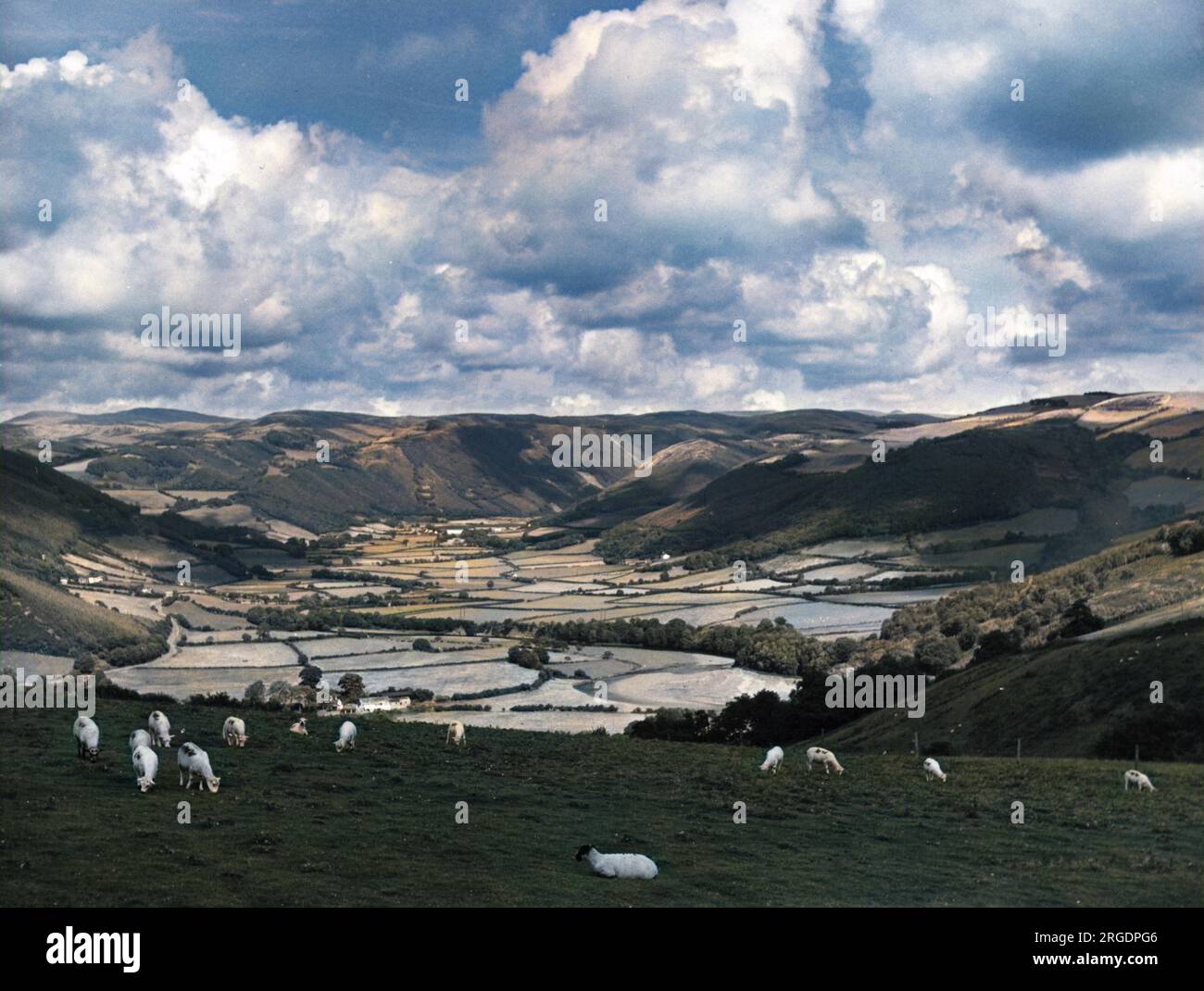 Rheidol valley hi-res stock photography and images - Alamy
