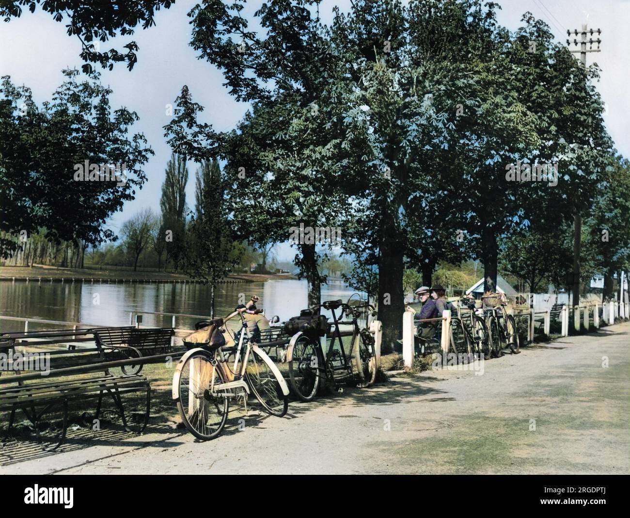 Parked bicycles (including a tandem) along the tree-lined River Thames ...