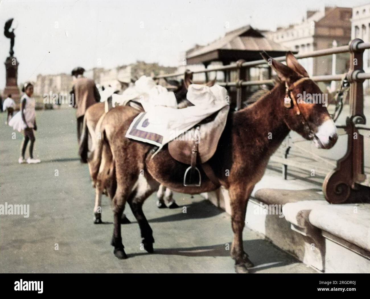 Ready for a ride! Donkeys tethered to the promenade railings at a ...