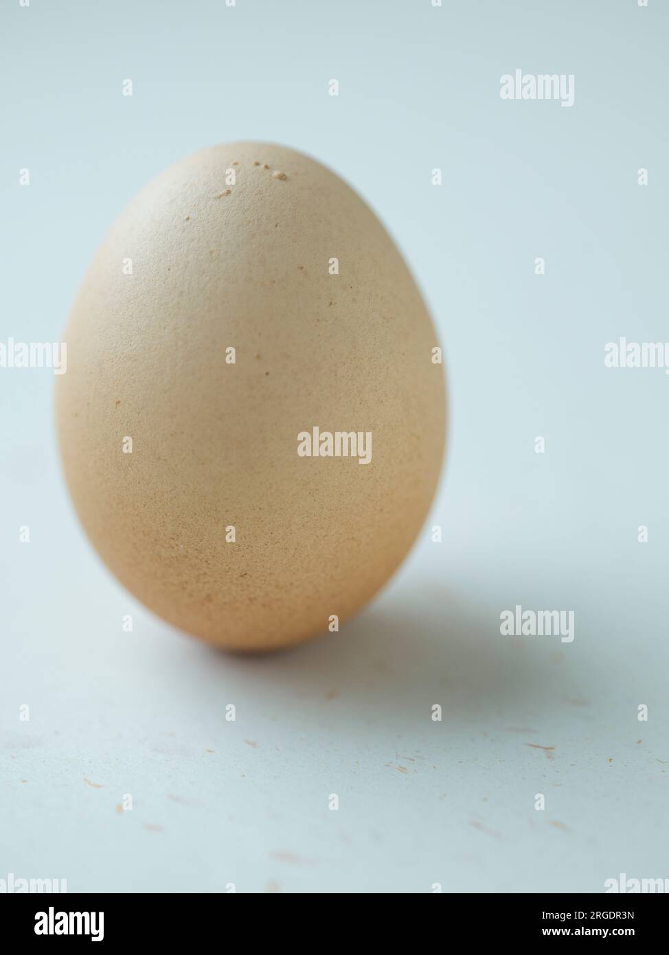 One whole egg hi-res stock photography and images - Alamy