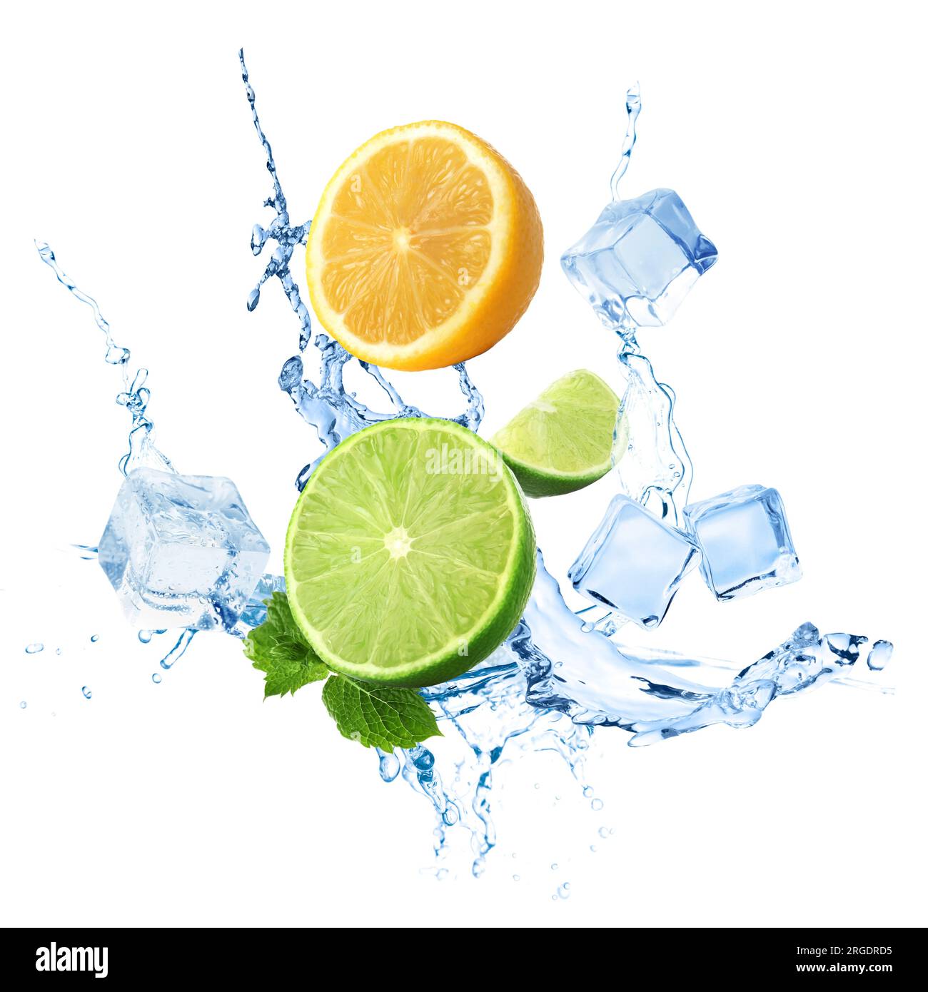 Flying juicy citrus fruits with cold ice, mint and splashing fresh ...