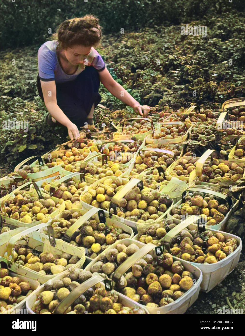 Land army girl hi-res stock photography and images - Alamy