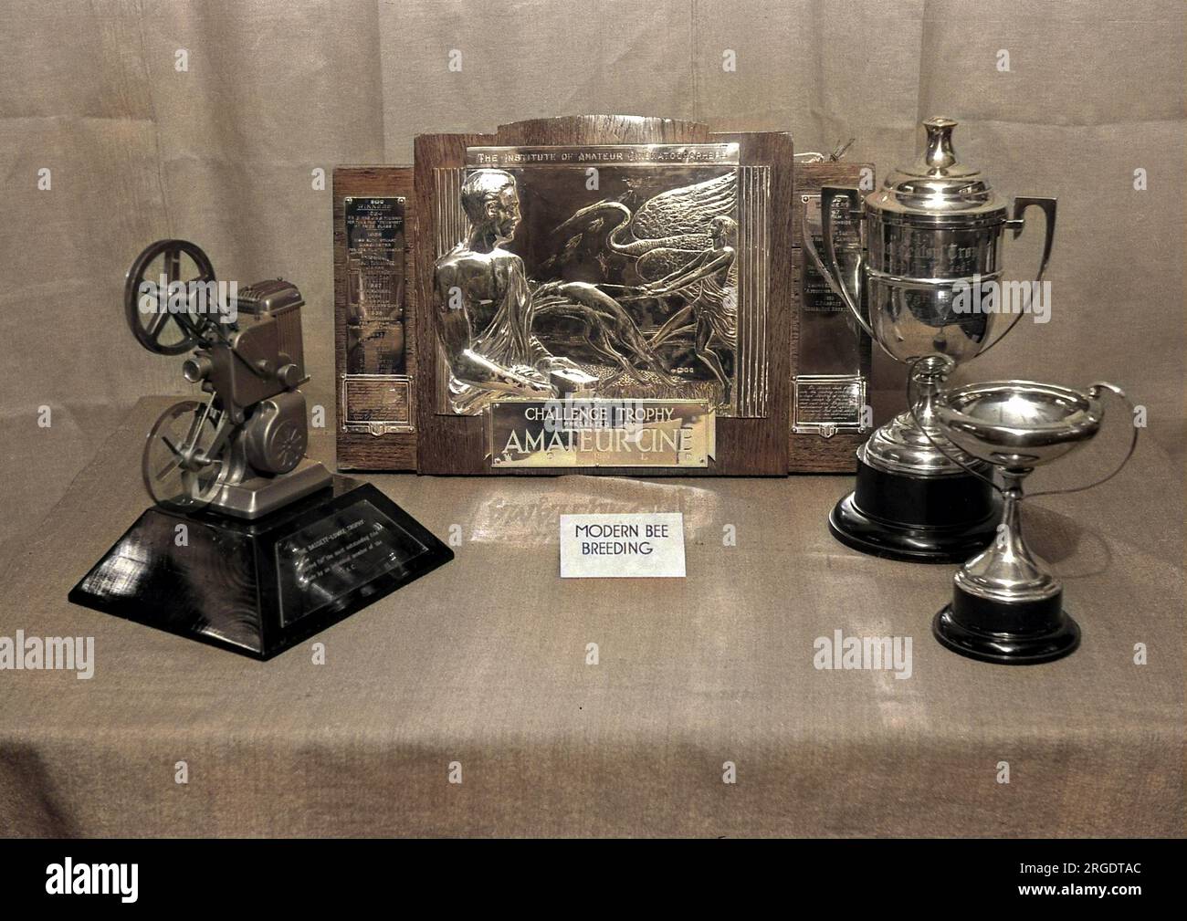 Various trophies on display. The notice reads: Modern Bee Breeding, but ...