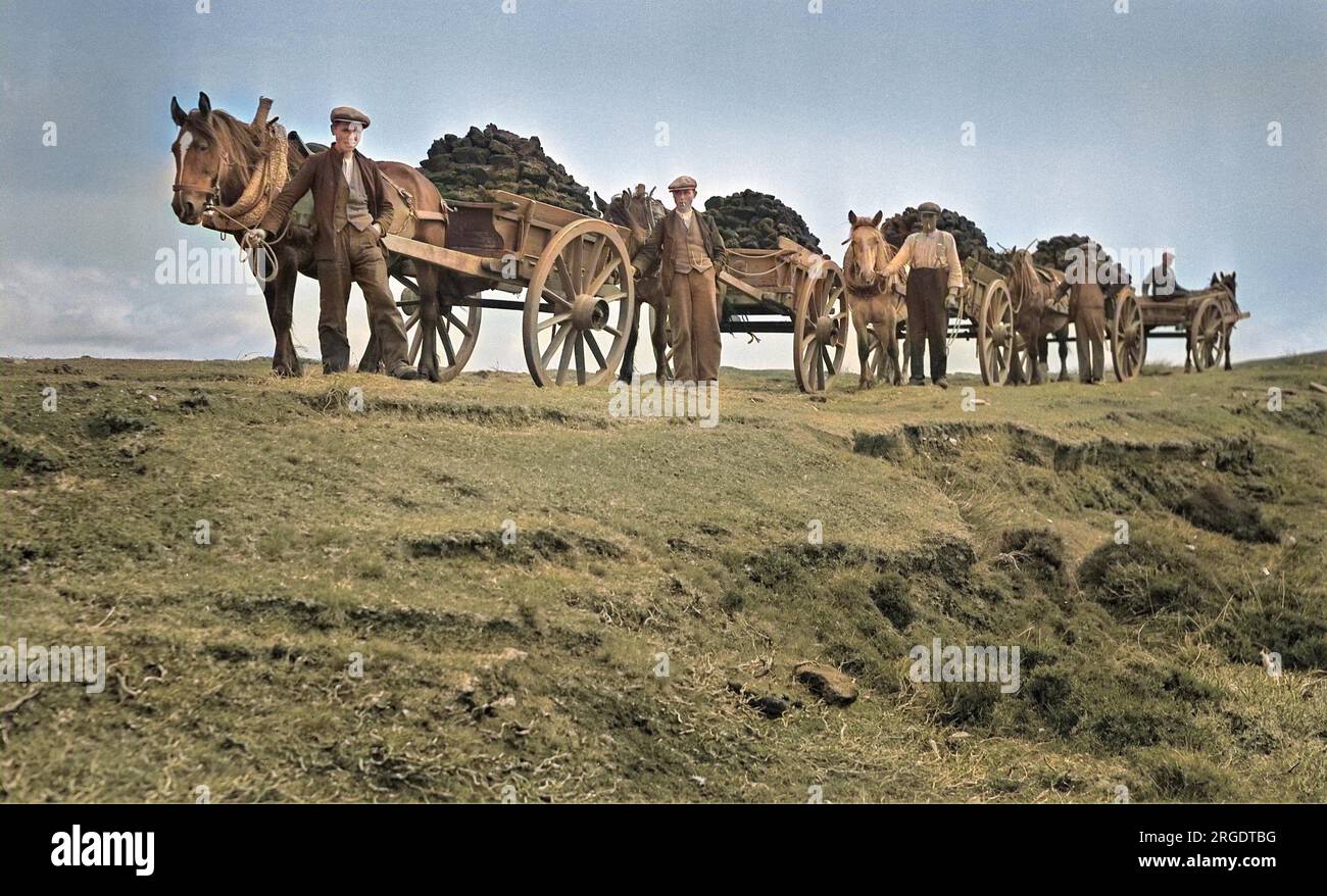 Horse-drawn carts transporting peat (cut turf) on the island of ...