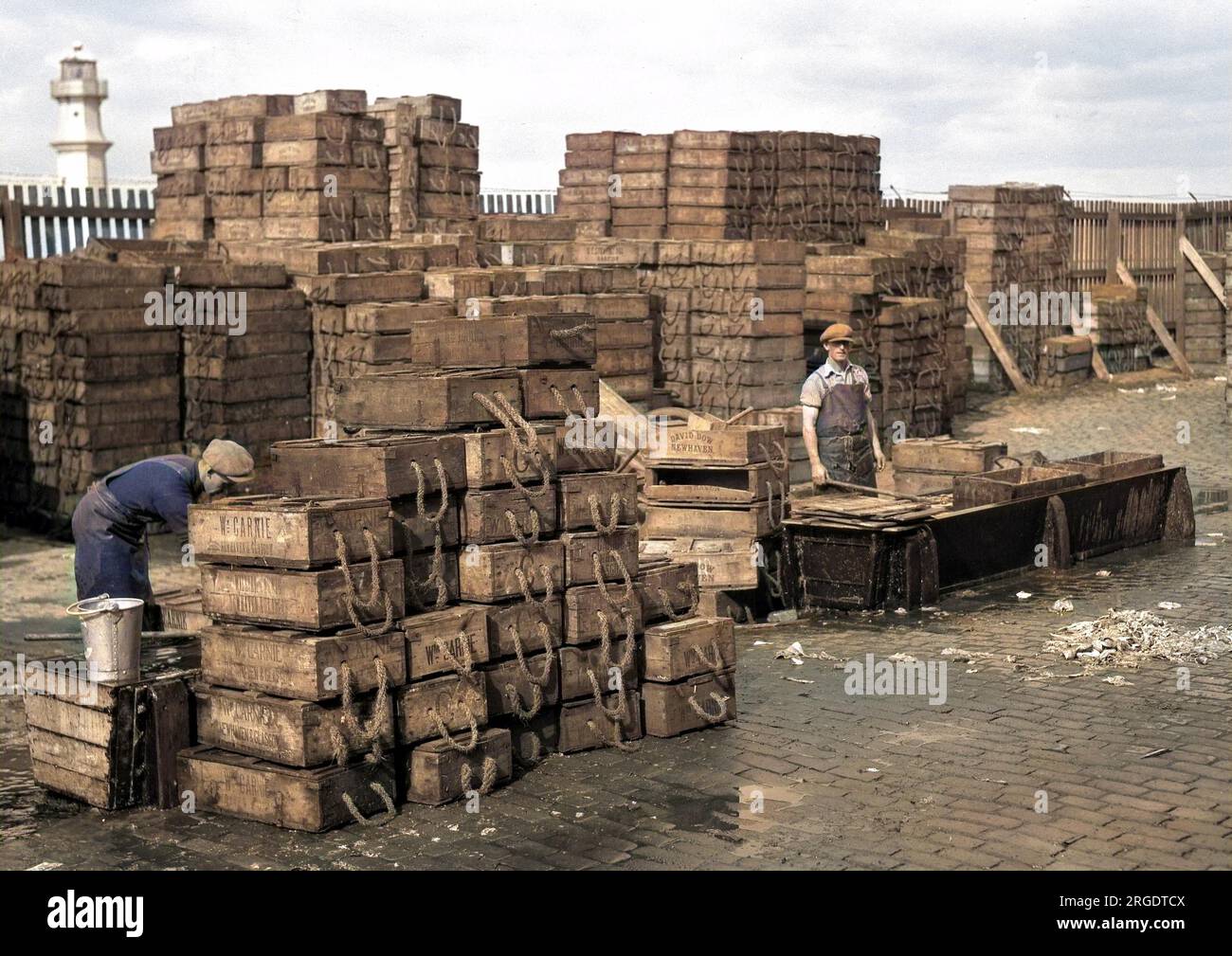 Men working on a quayside with crates of fish labelled William Carnie ...