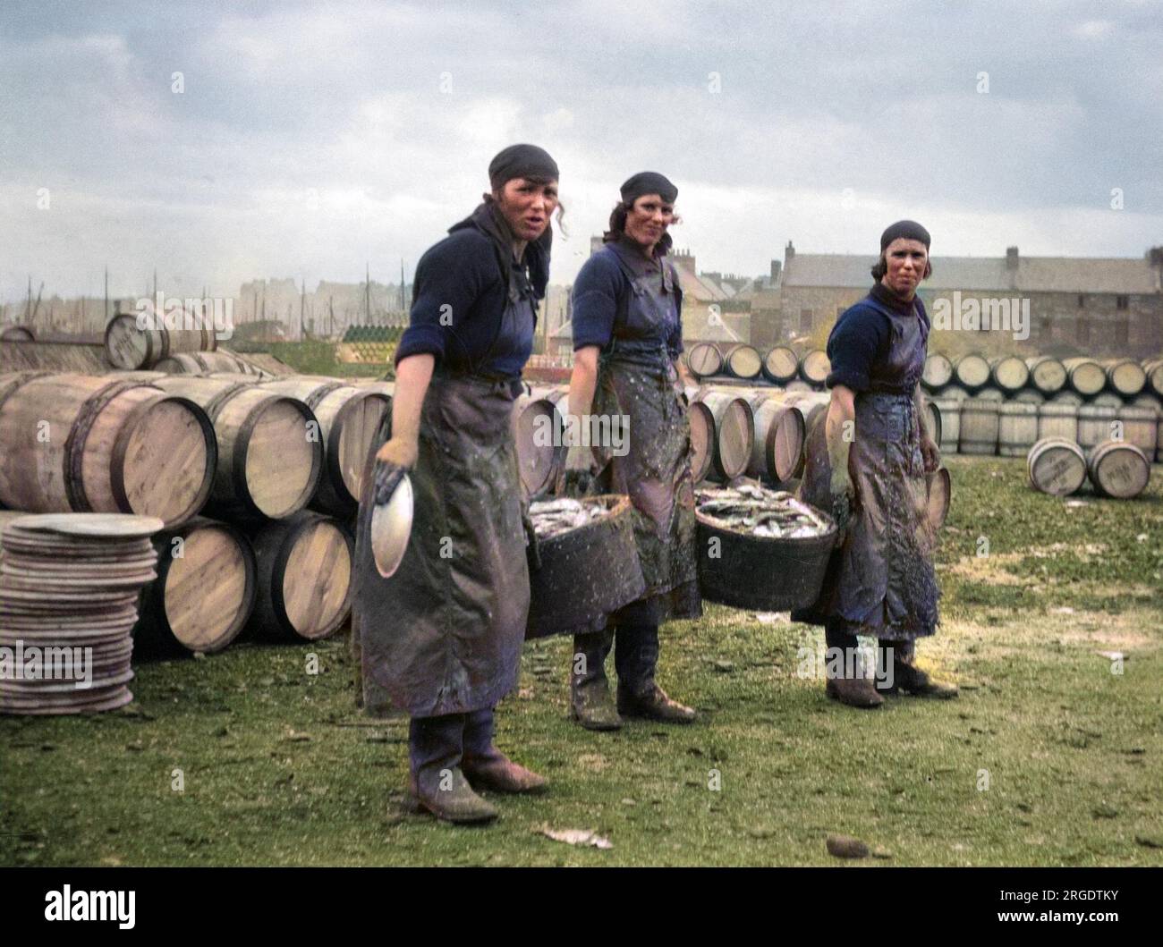 Fishery processing workers hi-res stock photography and images - Alamy