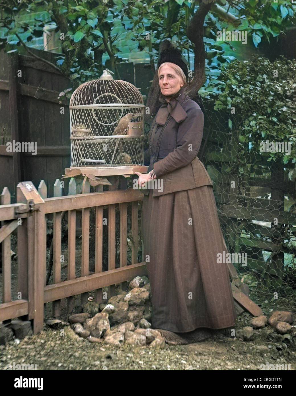 An elderly woman in a garden, holding a caged parrot Stock Photo - Alamy