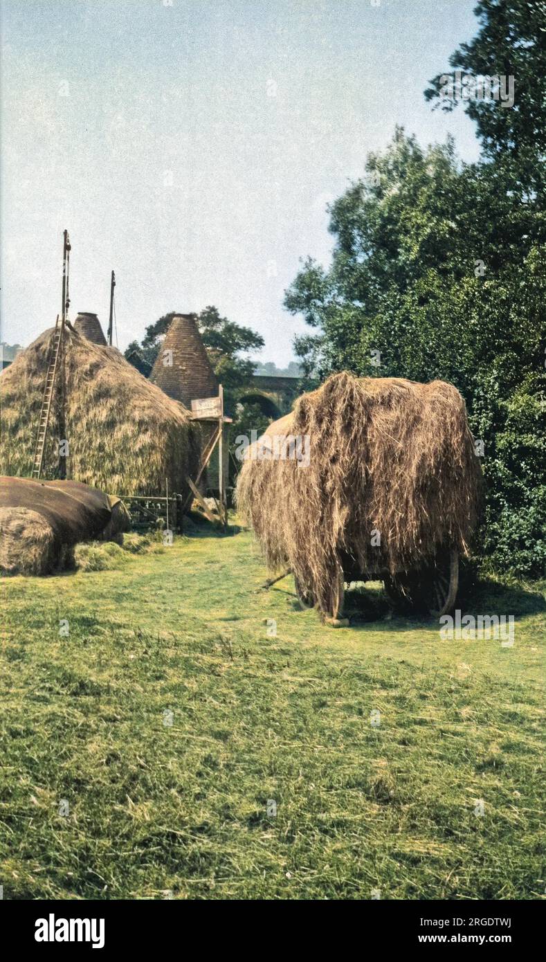 Laden cart hi-res stock photography and images - Alamy