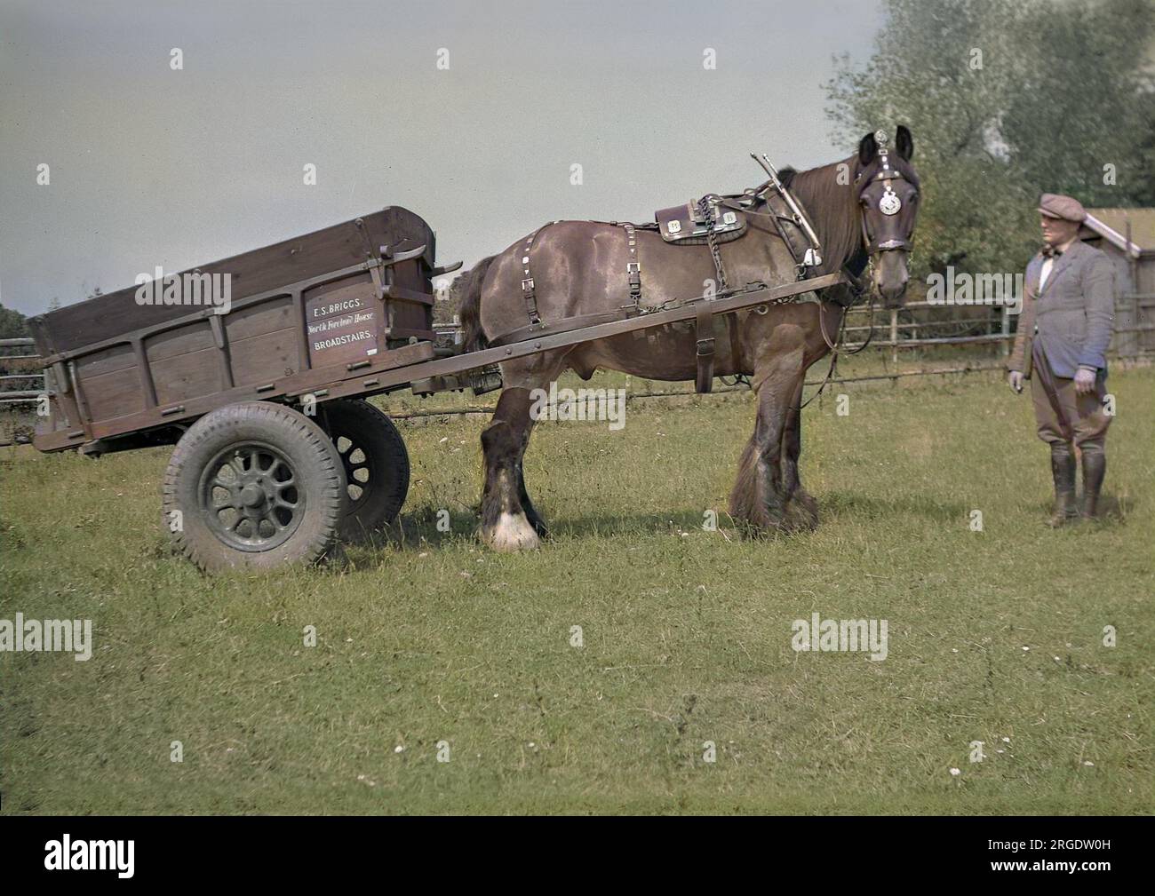Horse and cart in a field with a man, probably the owner, E S Briggs of ...