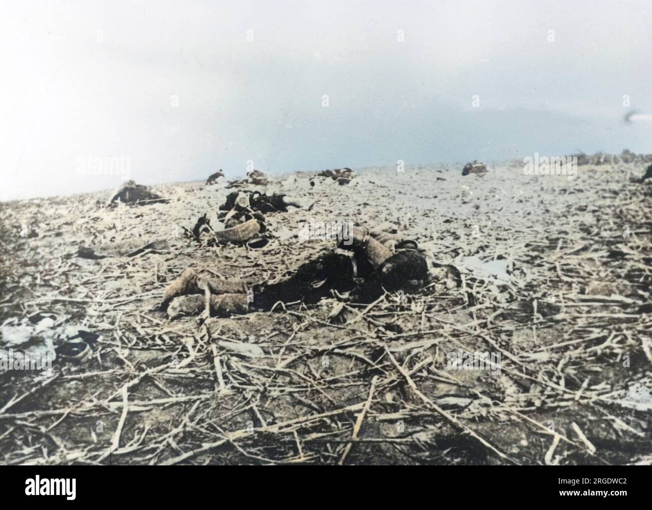 The aftermath of the devastating 1904 Battle of Port Arthur in ...
