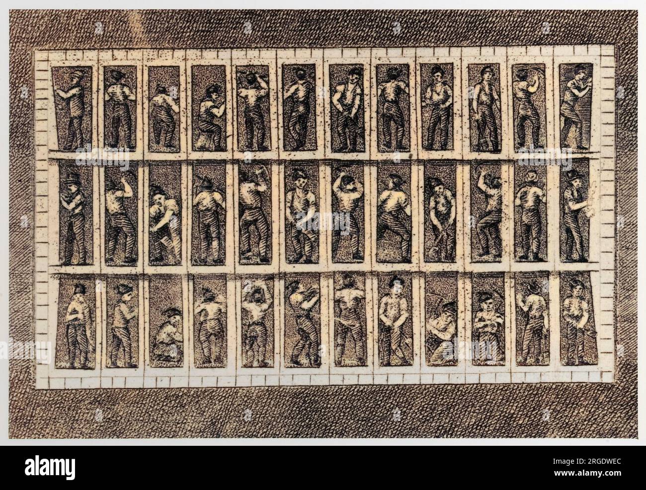 A detailed illustrated cross section of Brunel's Thames Tunnel in ...