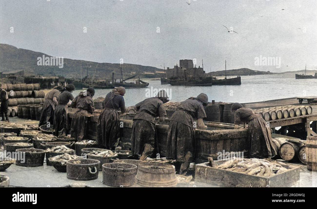 Fishwives at work on the island of Barra, Outer Hebrides, Scotland ...