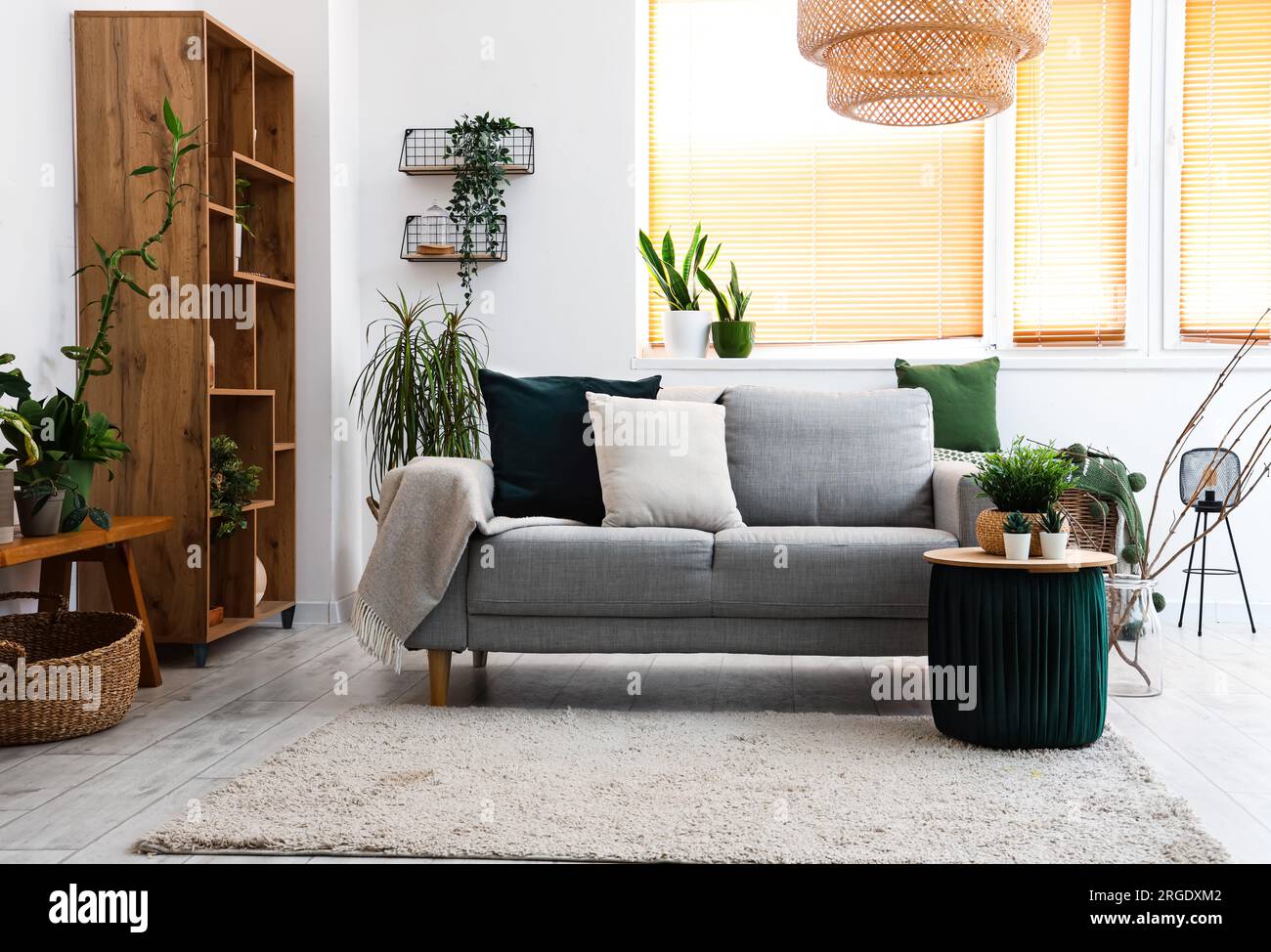 Interior of light living room with sofa and houseplants Stock Photo - Alamy