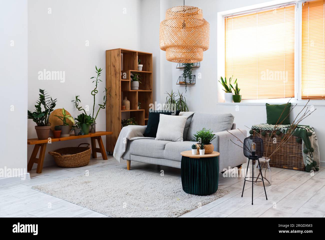 Interior of light living room with sofa and houseplants Stock Photo - Alamy
