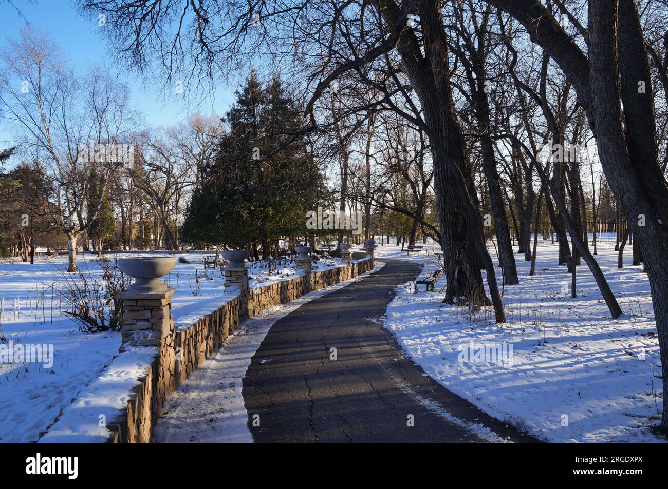 Winter landscape with a winding path crossed by long shadows of trees ...