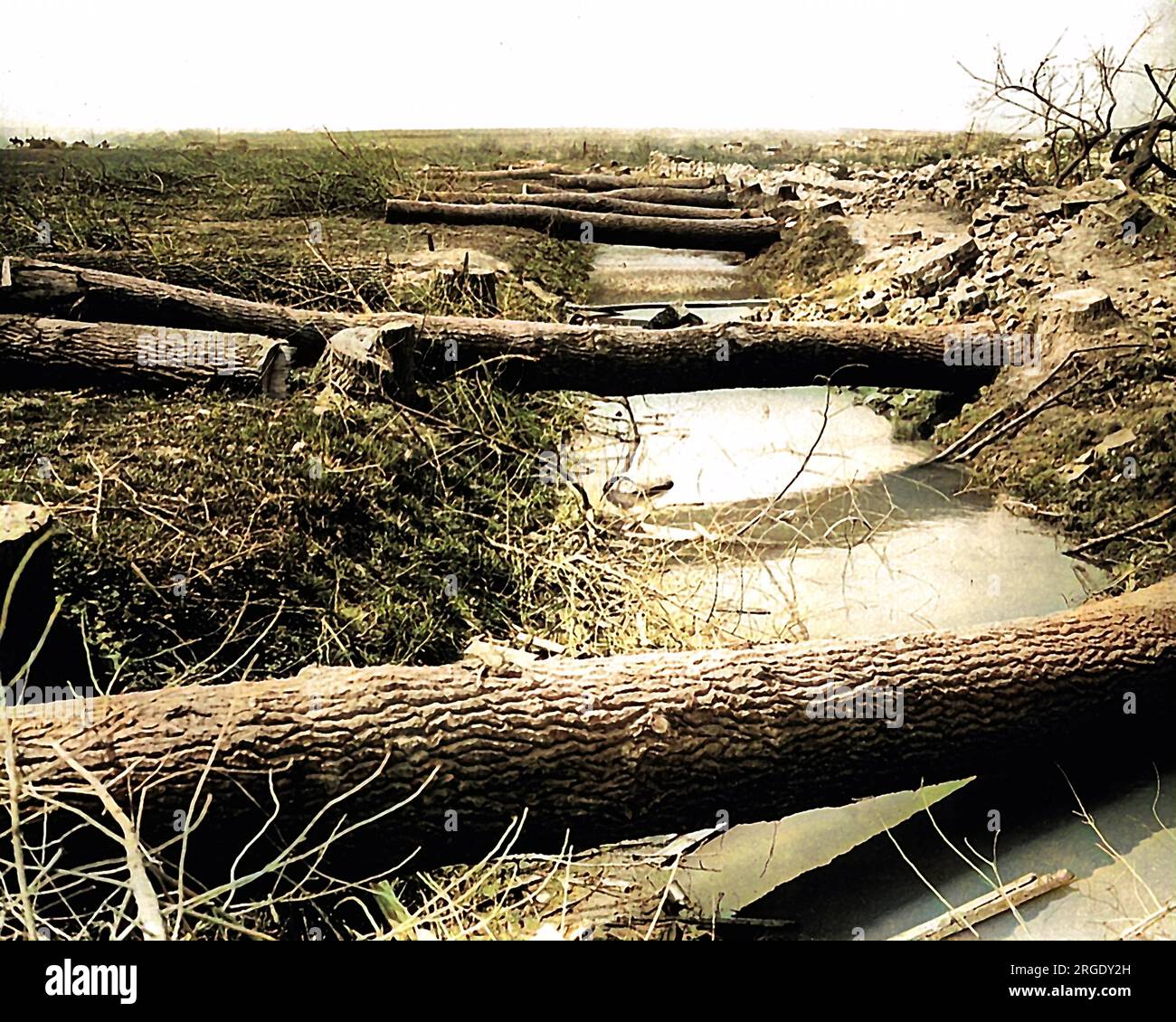 Tree trunks cut by Germans, providing bridges across a narrow stream on ...