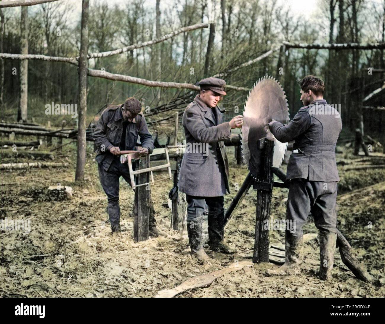 World war one saw hi-res stock photography and images - Alamy