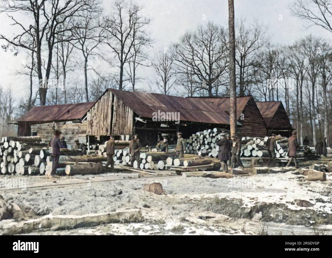 Forest lumber works on the Western Front in France during World War One ...