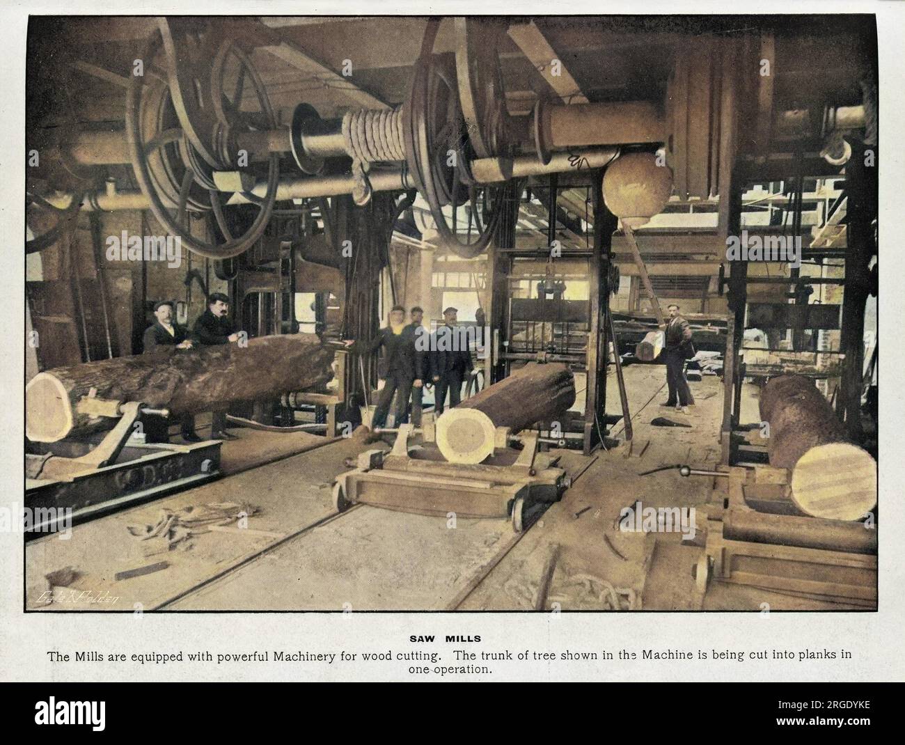 Saw mill workers hi-res stock photography and images - Alamy