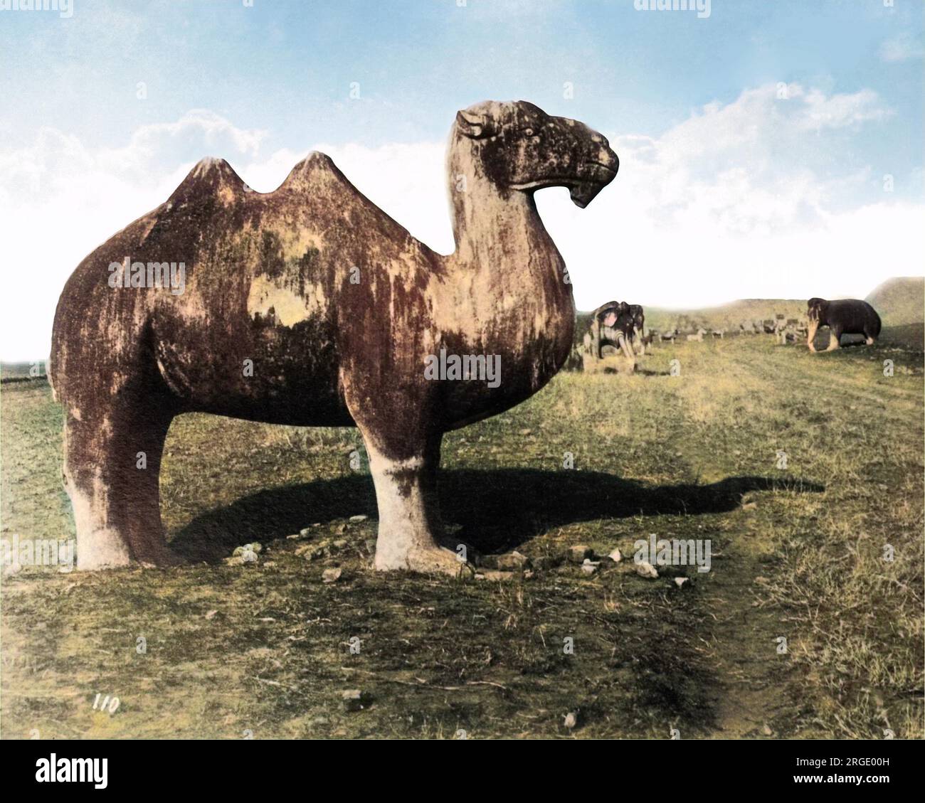 Camel statue on the road to Ming Tombs, Nanjing, China Stock Photo - Alamy
