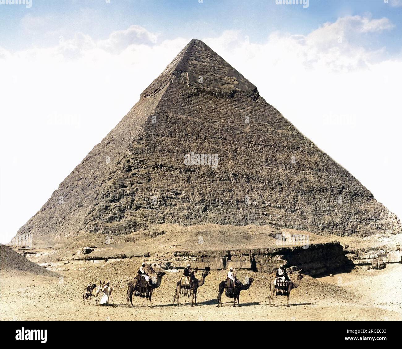 Camels and pyramid, Egypt Stock Photo - Alamy