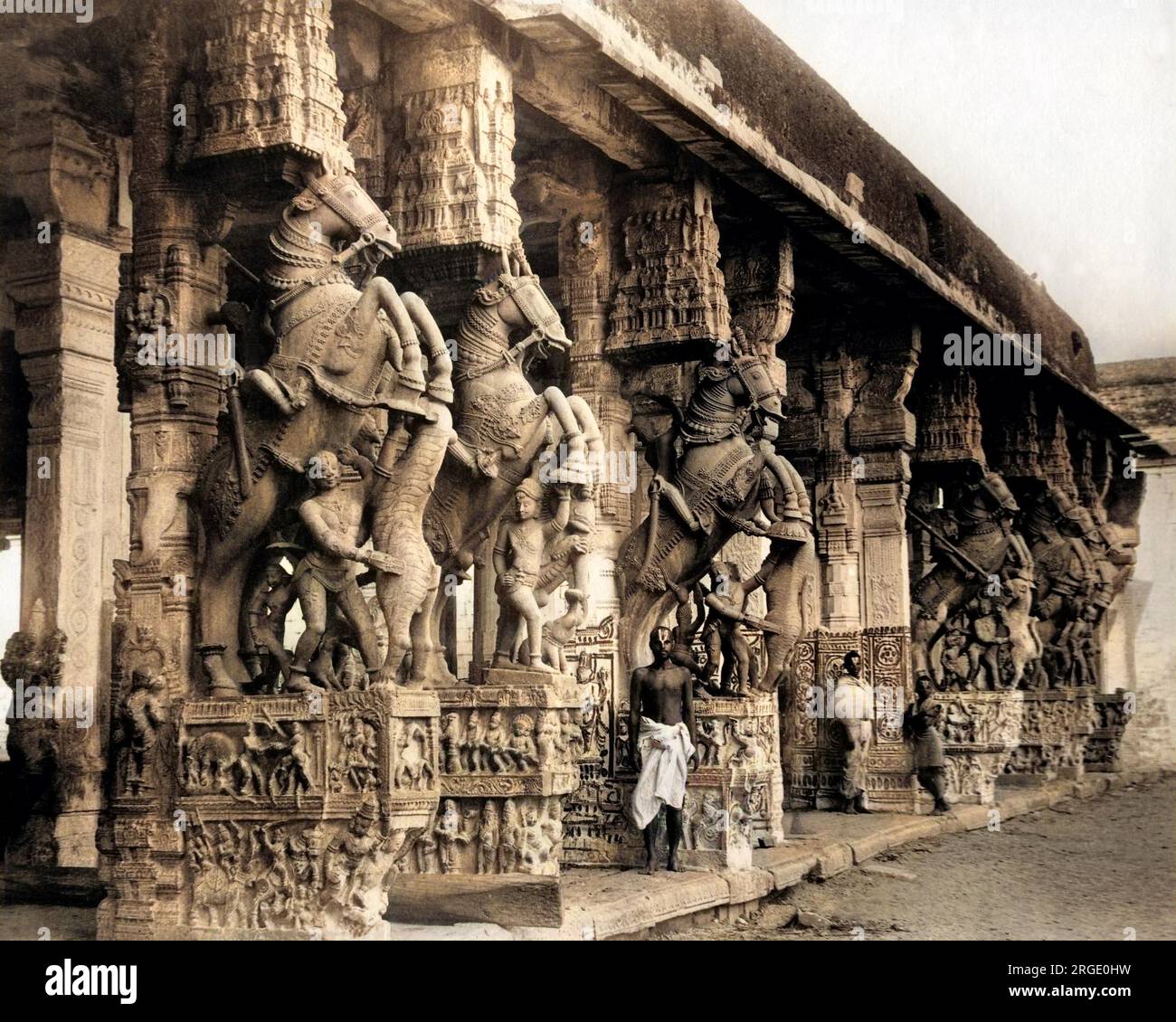 Ornate stone carvings of horses and riders at Tiruchirappalli (Trichy ...