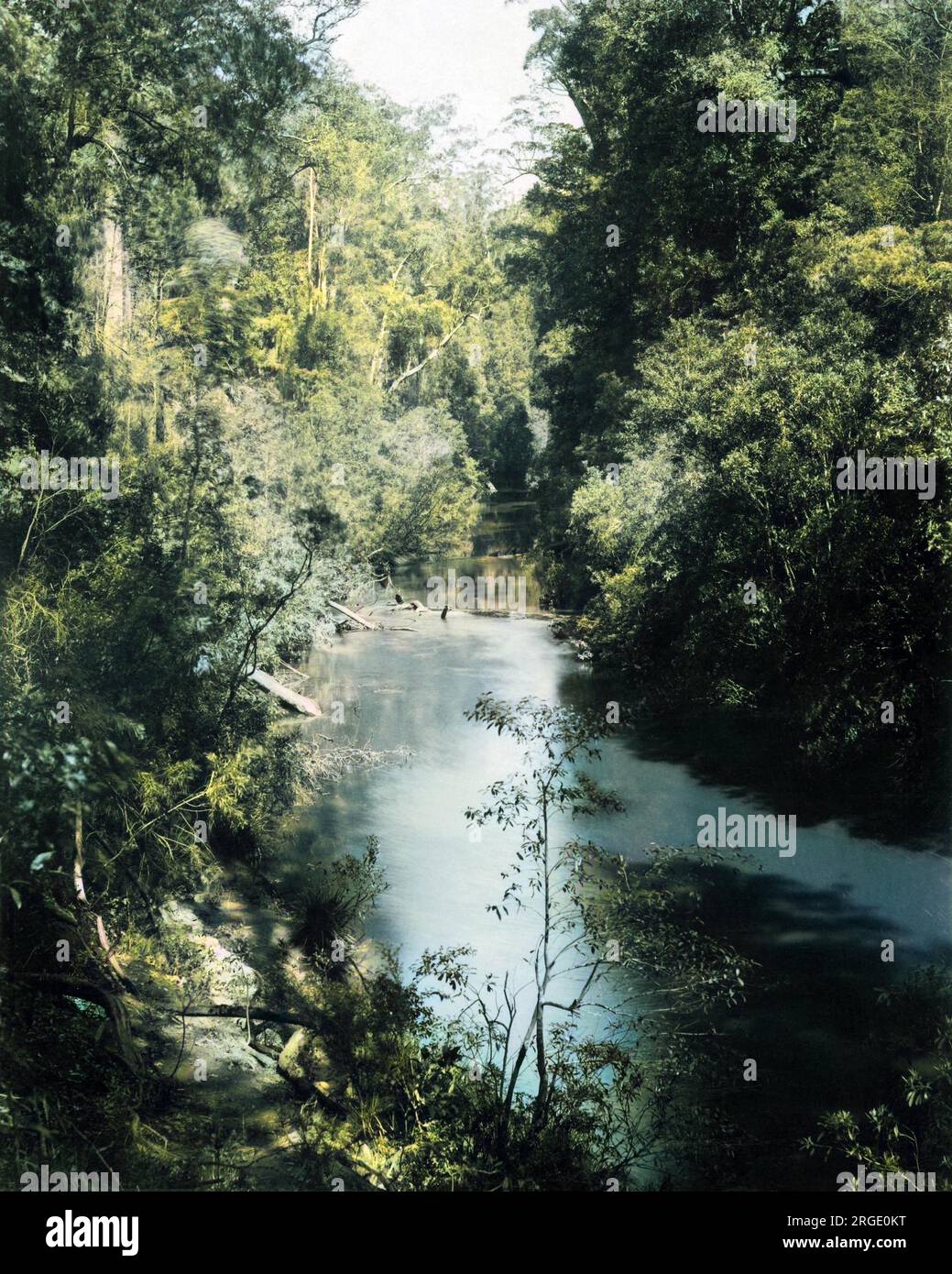 Freshwater River, National Park, Queensland, Australia Stock Photo - Alamy