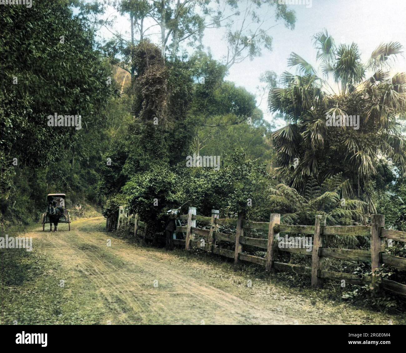 Bulli australia hi-res stock photography and images - Alamy
