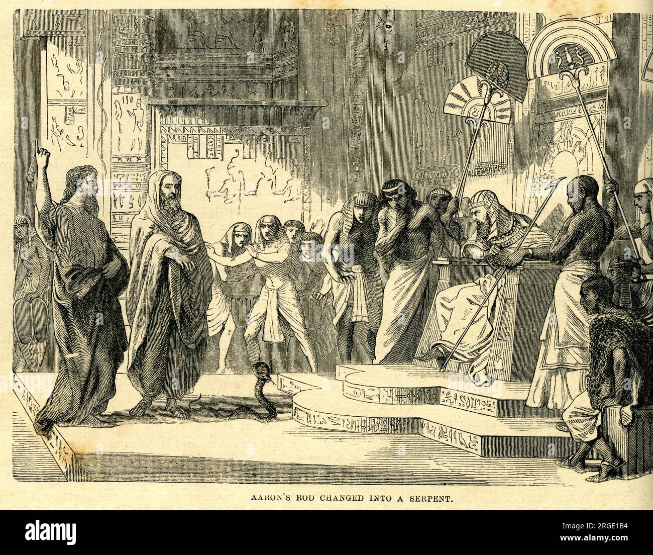 Aaron's Rod Changed Into A Serpent Stock Photo - Alamy