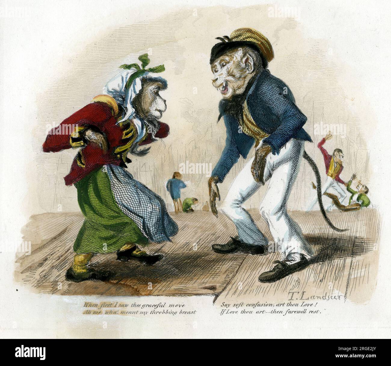 Monkey cartoon hi-res stock photography and images - Alamy