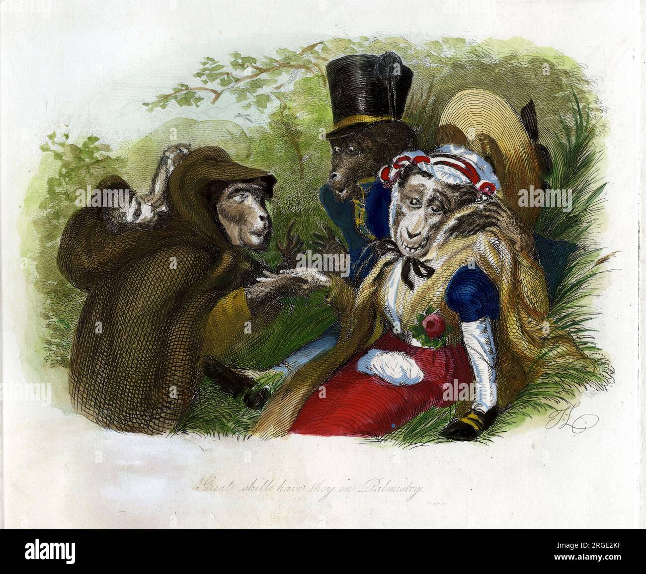 Monkey cartoon hi-res stock photography and images - Alamy