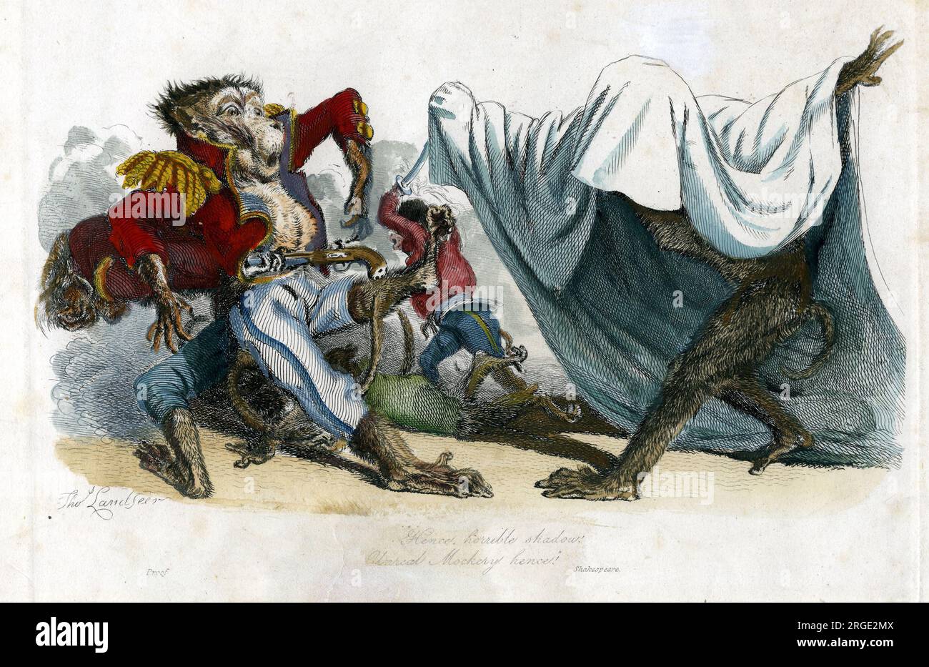 Monkey cartoon hi-res stock photography and images - Alamy