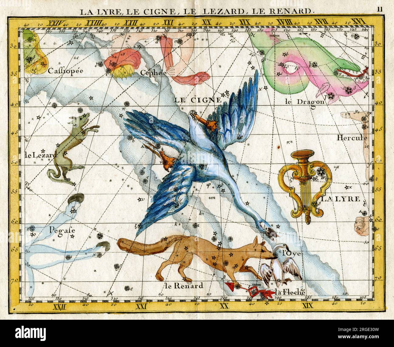 The swan fox hi-res stock photography and images - Alamy