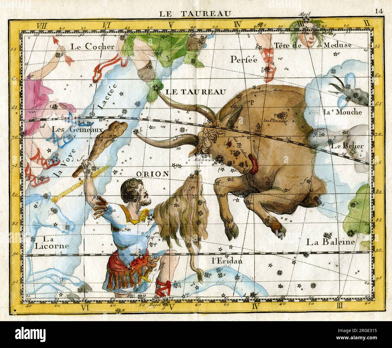 Taurus - Bull Stock Photo - Alamy