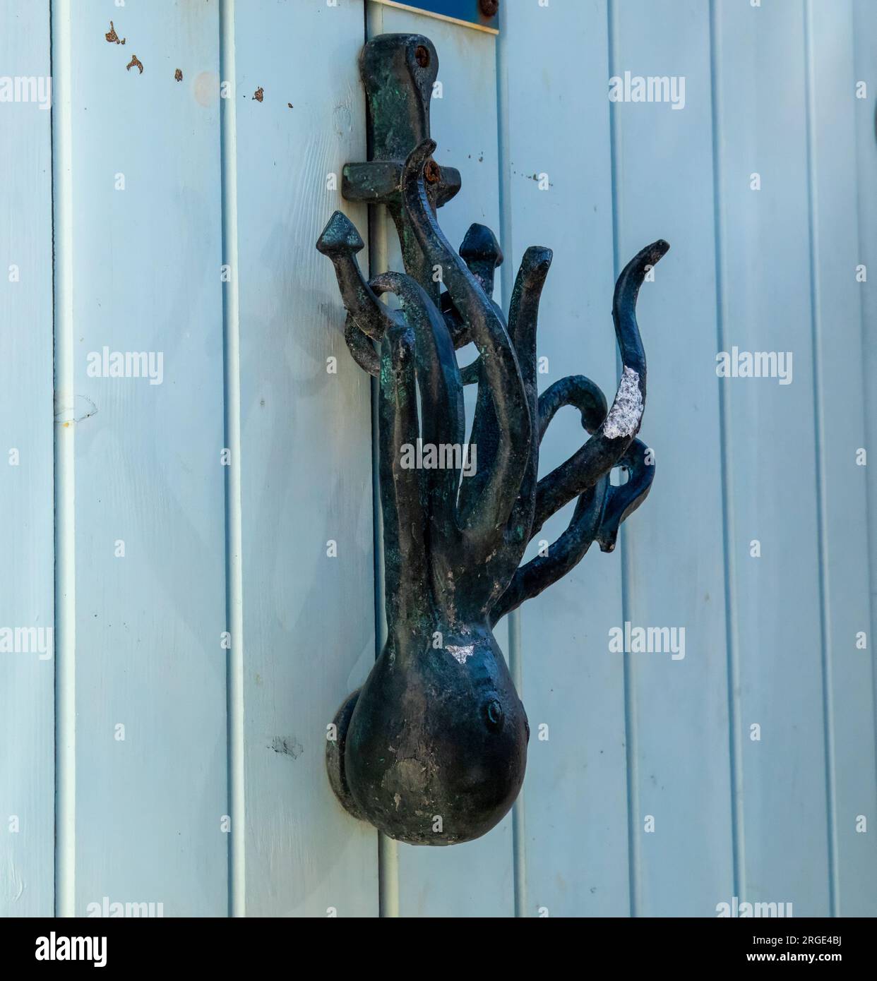 Brass door furniture, door knocker depicting an octopus on a wooden ...