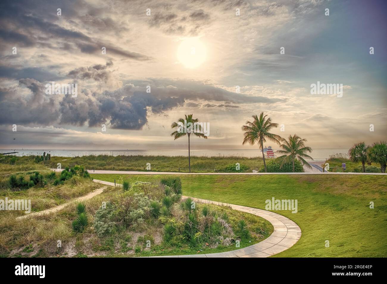 tropical landscape of sunset sky with palm trees in miami Stock Photo ...