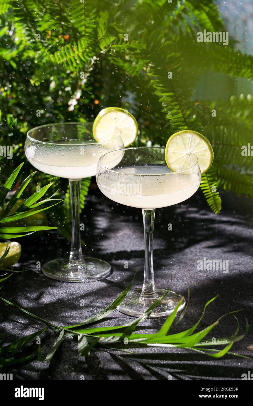 lime daiquiri summer exotic cocktail, flying drops. Tropical background ...